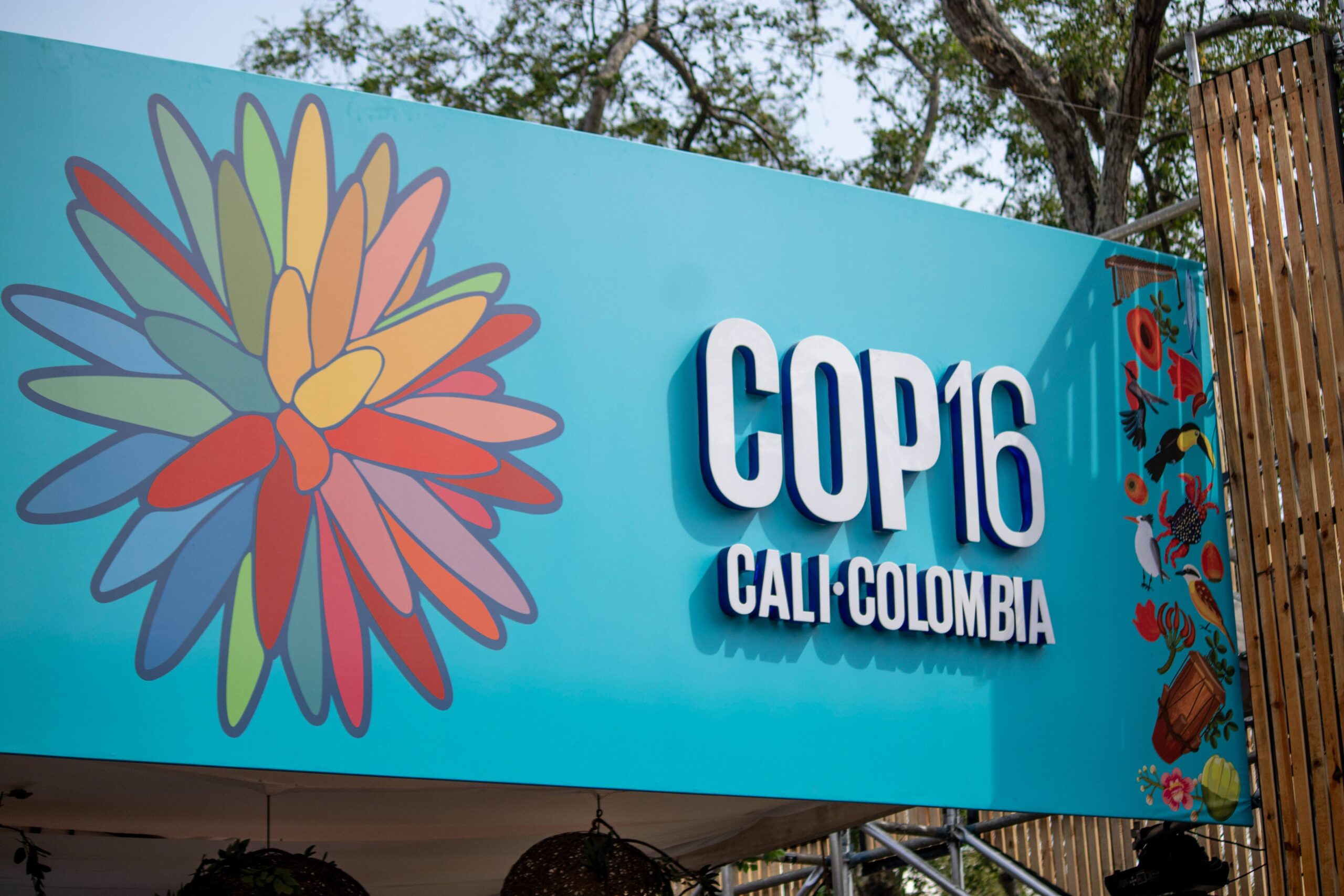 COP 16: Un hito global en Cali, Colombia, y su relevancia para LATAM ...
